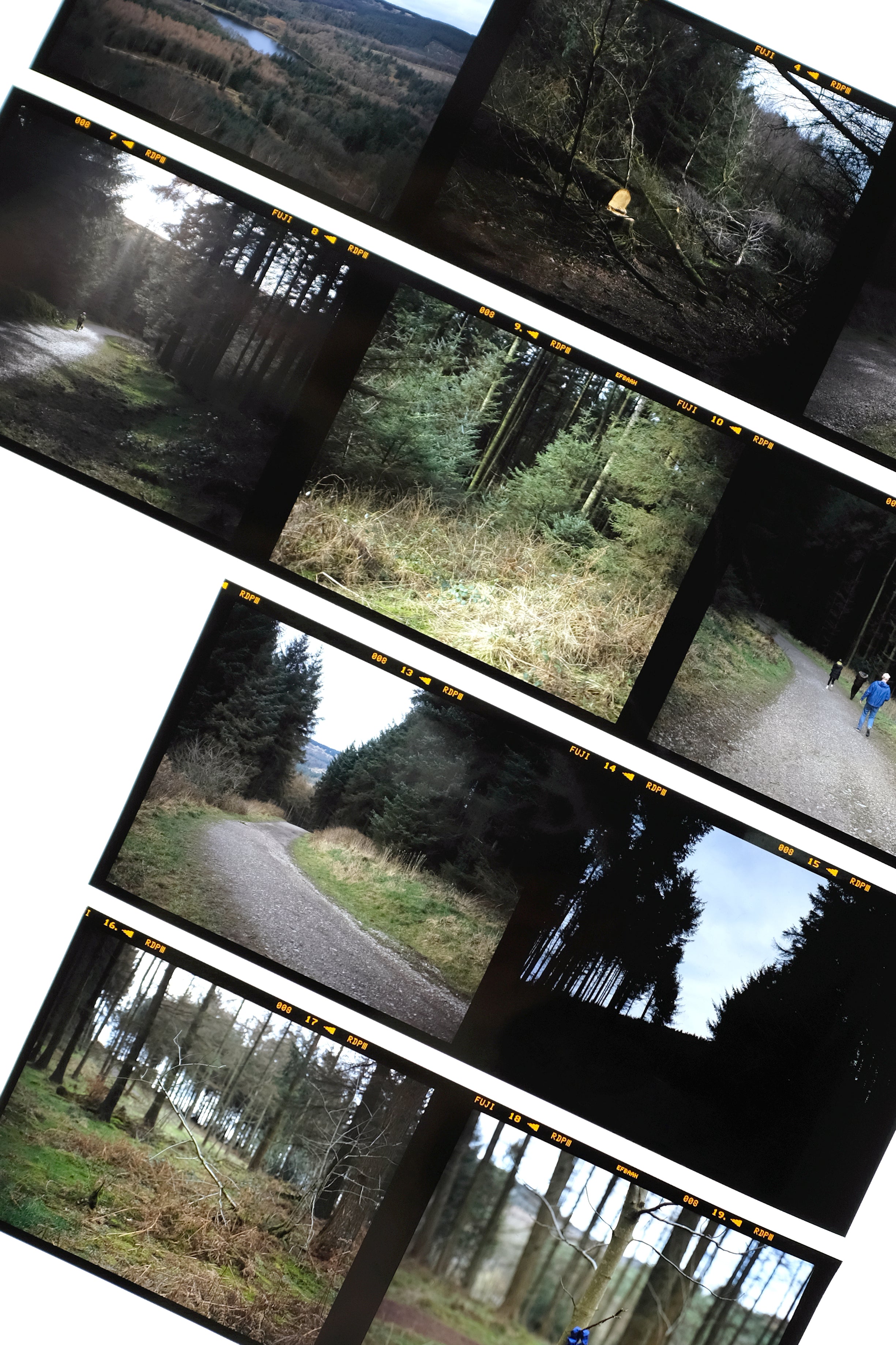 120 E6 (Slide) Film Process and Scan – Come Through Lab LTD